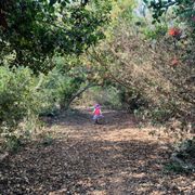 SHIPLEY NATURE CENTER - 293 Photos & 44 Reviews - 17851 Goldenwest St ...