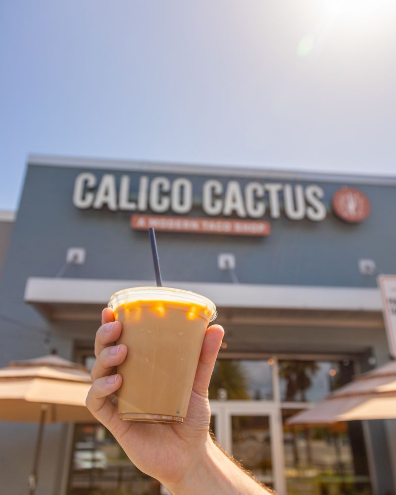 CALICO CACTUS - Updated July 2025 - 101 Photos & 43 Reviews - 833 S Ponce De Leon Blvd, St ...