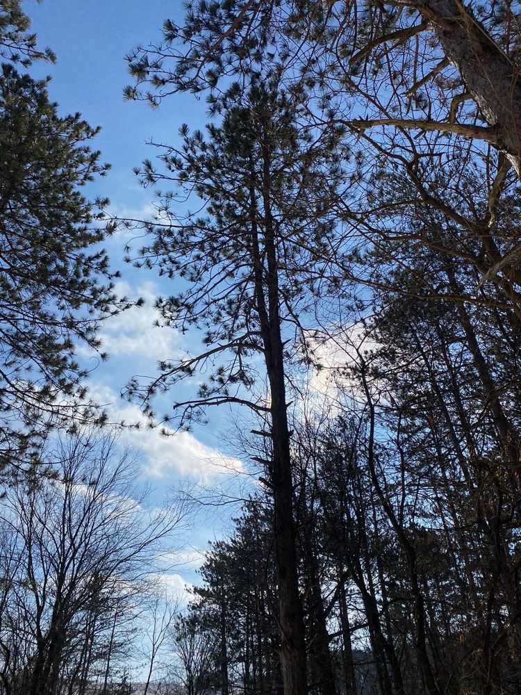 BLACKHAWK SKI AREA - Updated January 2026 - 7506 Blackhawk Rd ...