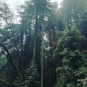 LAKE LAGUNITAS - Updated December 2025 - 96 Photos & 26 Reviews ...