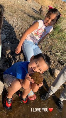 WINTON PARK - Updated August 2025 - 28 Photos - 6017-6099 N Piedra Rd ...