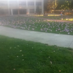 VILLAGE CHRISTIAN SCHOOL - 14 Photos & 36 Reviews - 8930 Village Ave ...