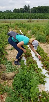 SAMASCOTT ORCHARDS - Updated September 2025 - 61 Photos & 70 Reviews ...