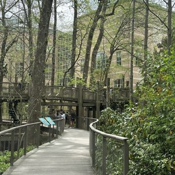 FERNBANK MUSEUM OF NATURAL HISTORY - Updated December 2024 - 1052 ...