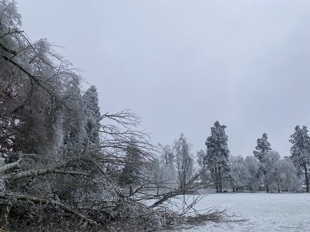 MEADOW PARK - Updated July 2025 - 851 Mill St, Springfield, Oregon ...