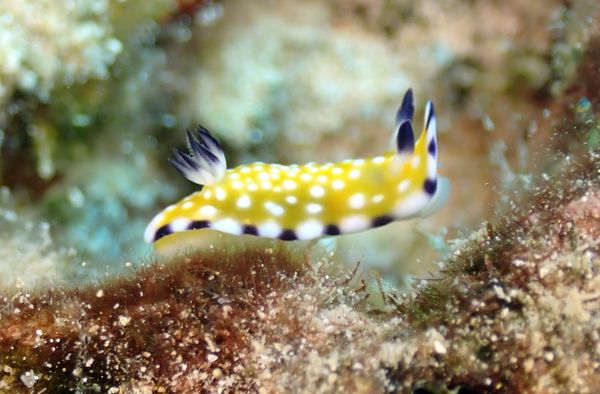 POINT PANIC BEACH PARK - Updated September 2024 - 426 Photos & 23 ...