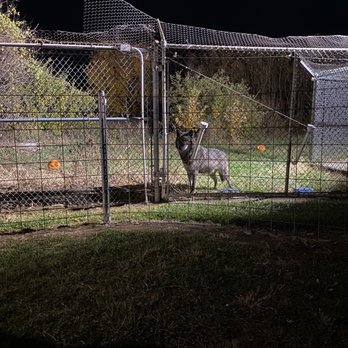 WOLF PARK - Updated May 2025 - 97 Photos & 29 Reviews - 4004 E 800th N ...