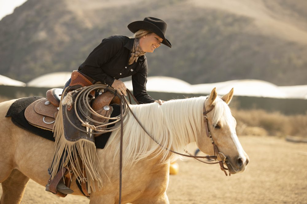 JESSICA FULCHER’S EQUINE SERVICES - Updated August 2025 - 959 E Hwy 246 ...