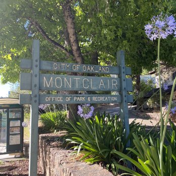 MONTCLAIR RECREATION CENTER - Updated December 2025 - 127 Photos & 27 ...