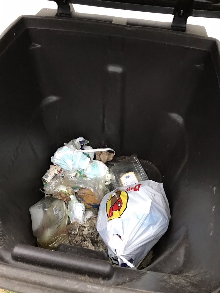 COUNTRY WASTE - Updated January 2026 - Sealy, Texas - Junk Removal ...