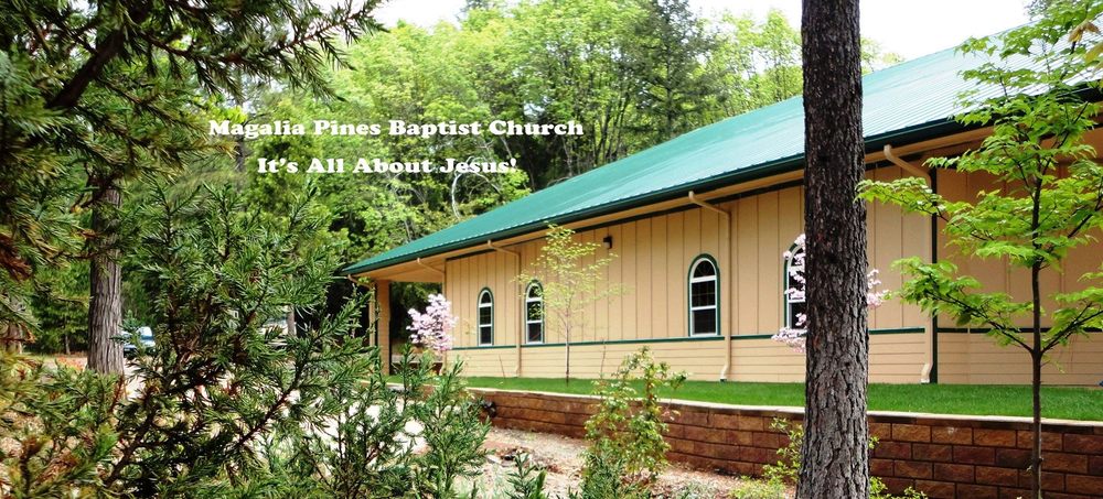 MAGALIA PINES BAPTIST CHURCH - Updated October 2025 - 14098 Skyway ...
