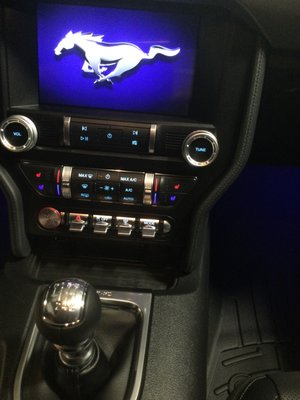 PLANET FORD SPRING - Updated March 2025 - 63 Photos & 336 Reviews ...