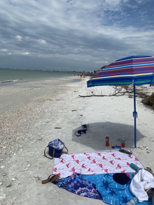 SHELL KEY SHUTTLE - Updated September 2025 - 81 Photos & 39 Reviews ...