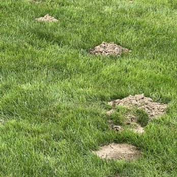 CATSEYE PEST CONTROL - Updated August 2025 - 26 Photos & 35 Reviews ...