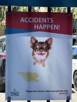 CRITTERS WITHOUT LITTERS - Updated January 2026 - 63 Photos & 132 ...