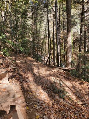 FALL BRANCH FALLS - Updated July 2024 - 73 Photos & 31 Reviews - 3000 ...