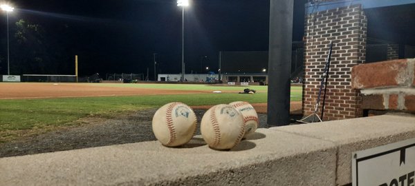 PENINSULA PILOTS BASEBALL - Updated July 2025 - 14 Photos - 1889 W ...