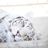 Vision Quest Ranch - 766 Photos & 271 Reviews - Bed & Breakfast - 400 ...