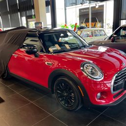 CREVIER MINI - Updated December 2025 - 253 Photos & 778 Reviews - 1455 ...