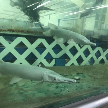 PREDATORY FINS - Updated January 2026 - 37 Photos & 11 Real Reviews ...