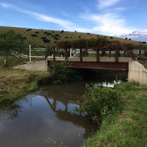 EUPEPSIA WELLNESS CENTER - 29 Photos & 10 Reviews - 12940 W Blue Grass ...