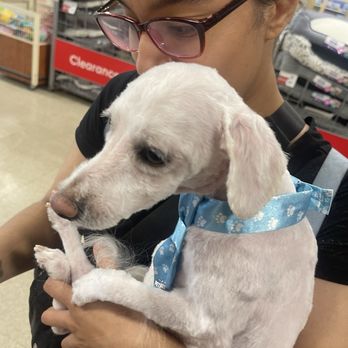 PETSMART - Updated December 2025 - 38 Photos & 60 Reviews - 601 E ...