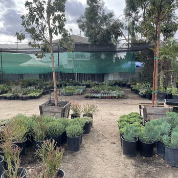 GREEN VALLEY GROWERS WHOLESALE NURSERIES - 80 Photos & 72 Reviews ...