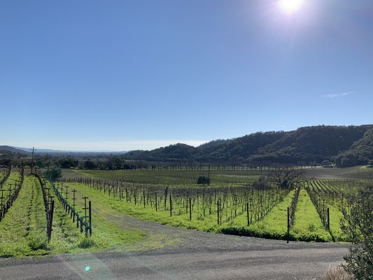 SHAFER VINEYARDS - 170 Photos & 45 Reviews - 6154 Silverado Trl, Napa ...