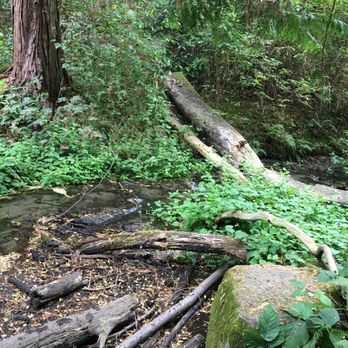 RAVENNA PARK - Updated December 2025 - 130 Photos & 47 Reviews - 5520 ...