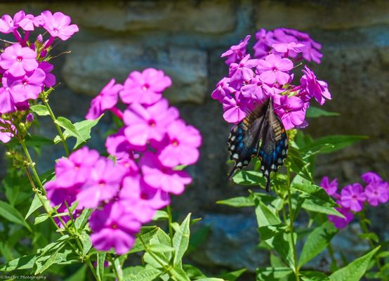 MAGNETIC SPRINGS - Updated July 2025 - 21 Photos - Magnetic Dr, Eureka ...