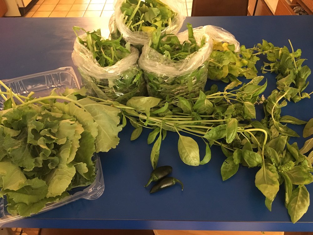 KINDRED ROOTS FARM - Updated April 2025 - 406 Tompkins St, City of ...