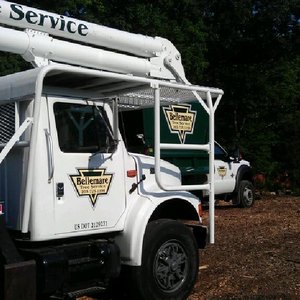 K&J TREE SERVICE - Updated December 2025 - 61 Photos & 38 Reviews - 2 ...