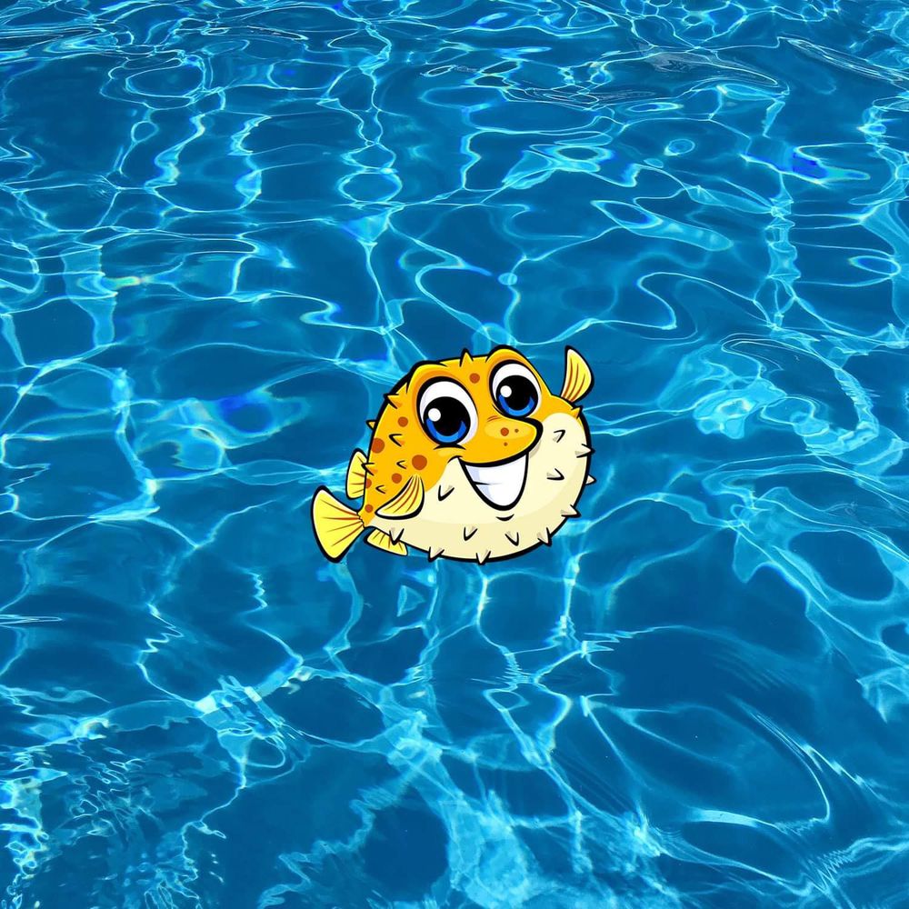 PUDDLE POOL SERVICES - MAPLE RIDGE - Updated July 2025 - Request a ...