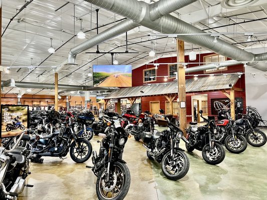 Harley Davidson Tampa Florida