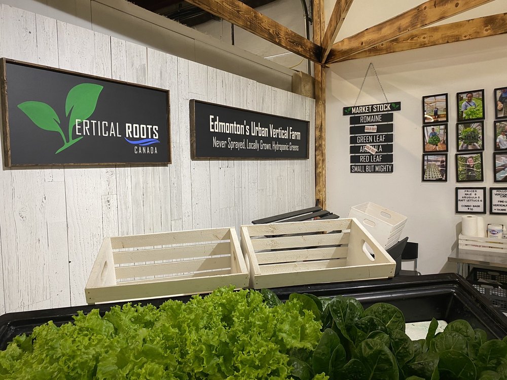 VERTICAL ROOTS - Updated September 2024 - 15 Photos - 9328 31 Avenue NW ...