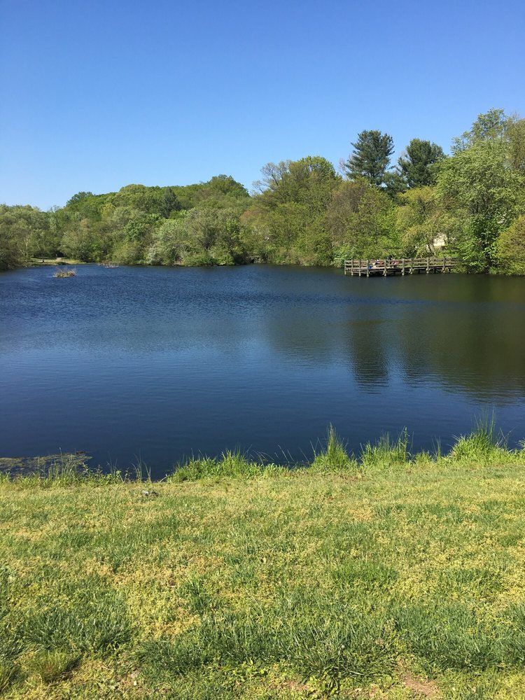 JACKSON POND - Updated October 2025 - Flowerstock Row, Columbia ...