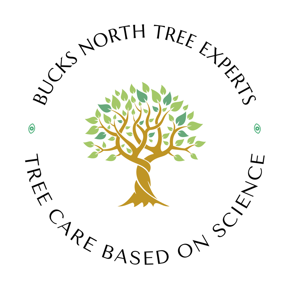 BUCKS NORTH TREE EXPERTS - Updated July 2025 - Request a Quote - 933 Nj ...