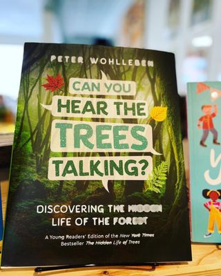 THE RADICAL CAT - Updated December 2025 - 52 Photos & 25 Reviews - 1500 ...