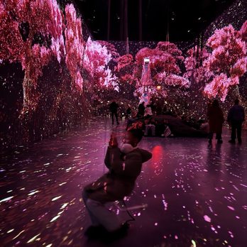 MERCER LABS - Updated February 2025 - 274 Photos & 97 Reviews - 21 Dey ...