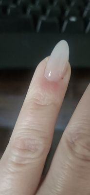 FENTON NAILS - Updated November 2025 - 32 Photos & 70 Reviews - 15274 ...