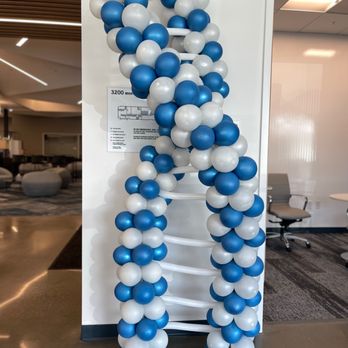 BALLOON SONG - Updated January 2025 - 222 Photos & 16 Reviews - Fremont ...