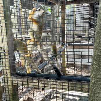 BEE CITY ZOO - Updated August 2025 - 396 Photos & 118 Reviews - 1066 ...