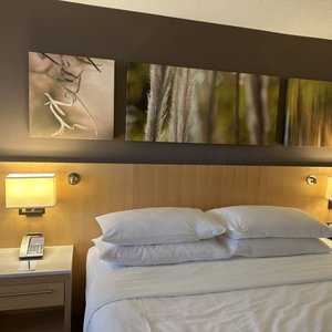 QUEST INN DOWNTOWN - Updated October 2025 - 367 Ellice Ave, Winnipeg ...