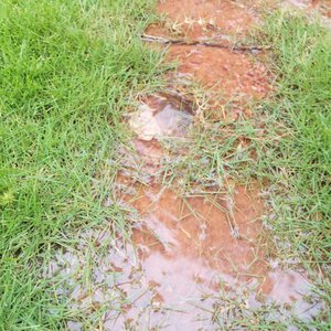 CONSERVA IRRIGATION - NORTH ATLANTA - Updated July 2024 - 28 Photos ...