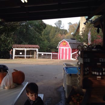 BERRY PATCH FARMS - Updated July 2025 - 25 Photos & 40 Reviews - 786 ...