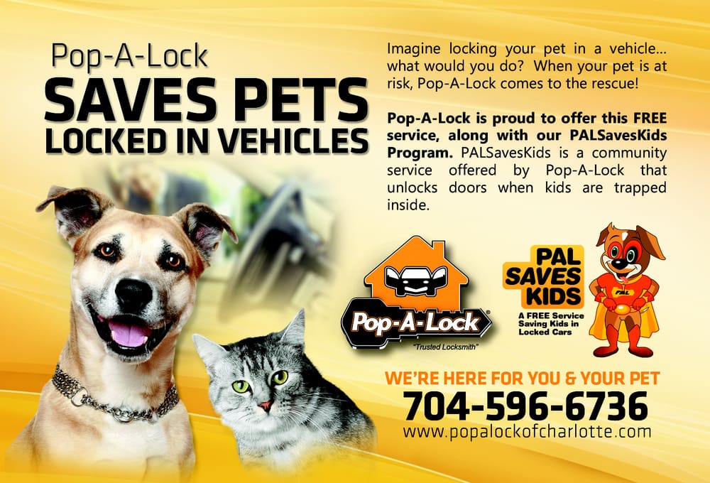POP-A-LOCK - Updated October 2025 - 15 Photos & 45 Reviews - 121 ...
