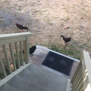 PMRF BARKING SANDS COTTAGES - 183 Photos & 22 Reviews - Kekaha, HI - Yelp