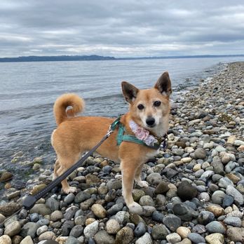 POINT ROBINSON PARK - Updated August 2024 - 195 Photos & 46 Reviews ...