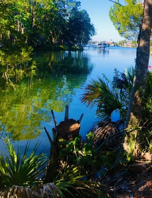 HUNTER SPRINGS PARK - Updated November 2024 - 213 Photos & 26 Reviews ...