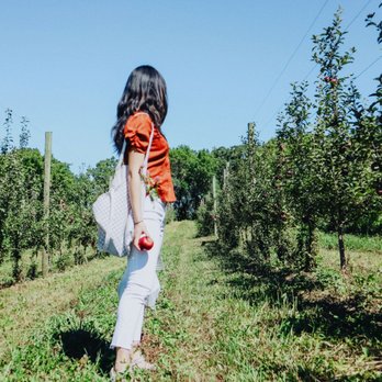 APPLEBERRY FARM - Updated September 2025 - 37 Photos & 12 Reviews ...